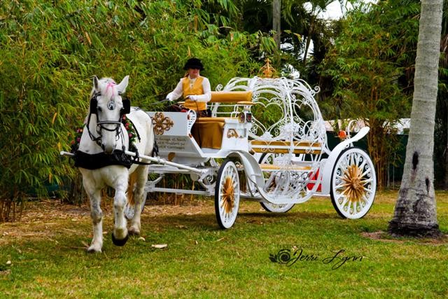 Charlene's Classic Carriages » Divine Naples